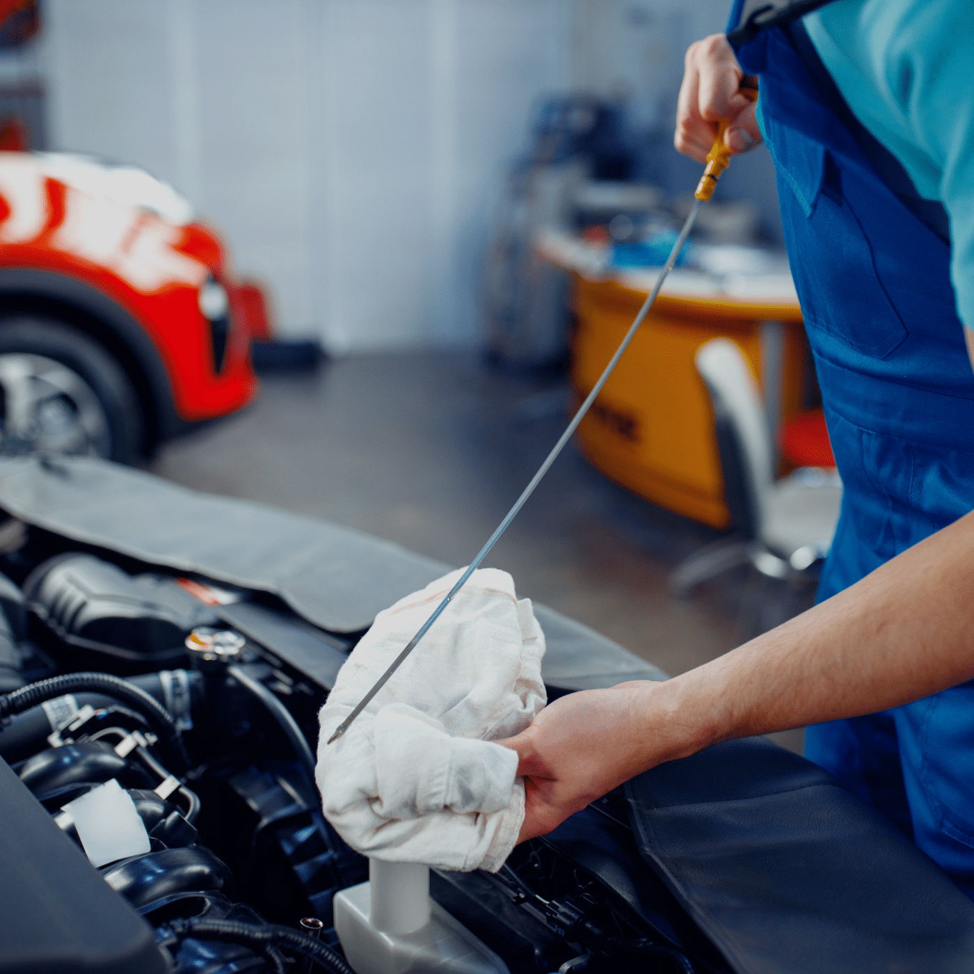 Why Reindeer - Reindeer Auto Relocation