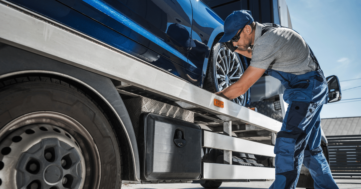 Why Reindeer - Reindeer Auto Relocation